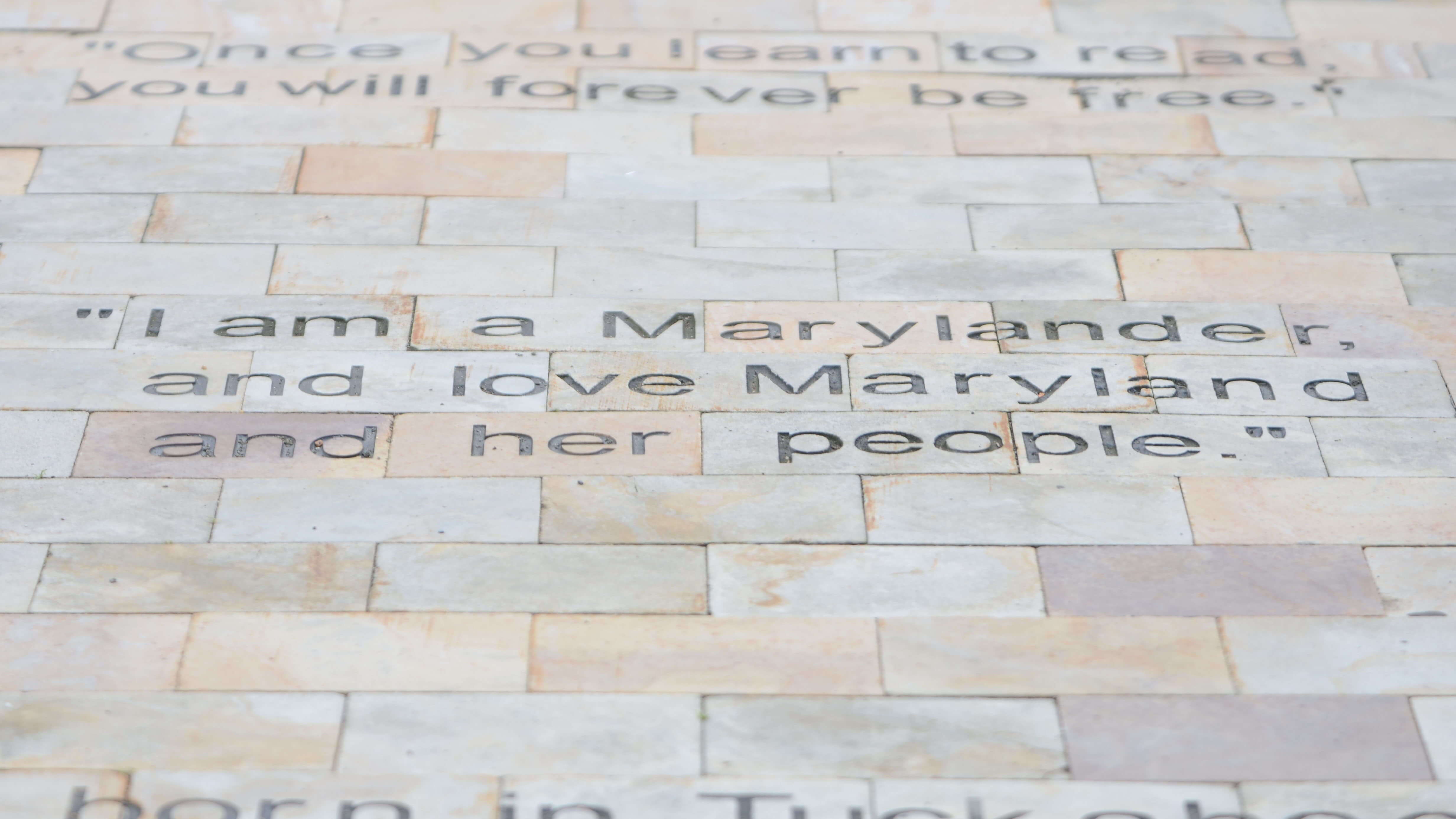 Cullen Merritt | UMD School of Public Policy