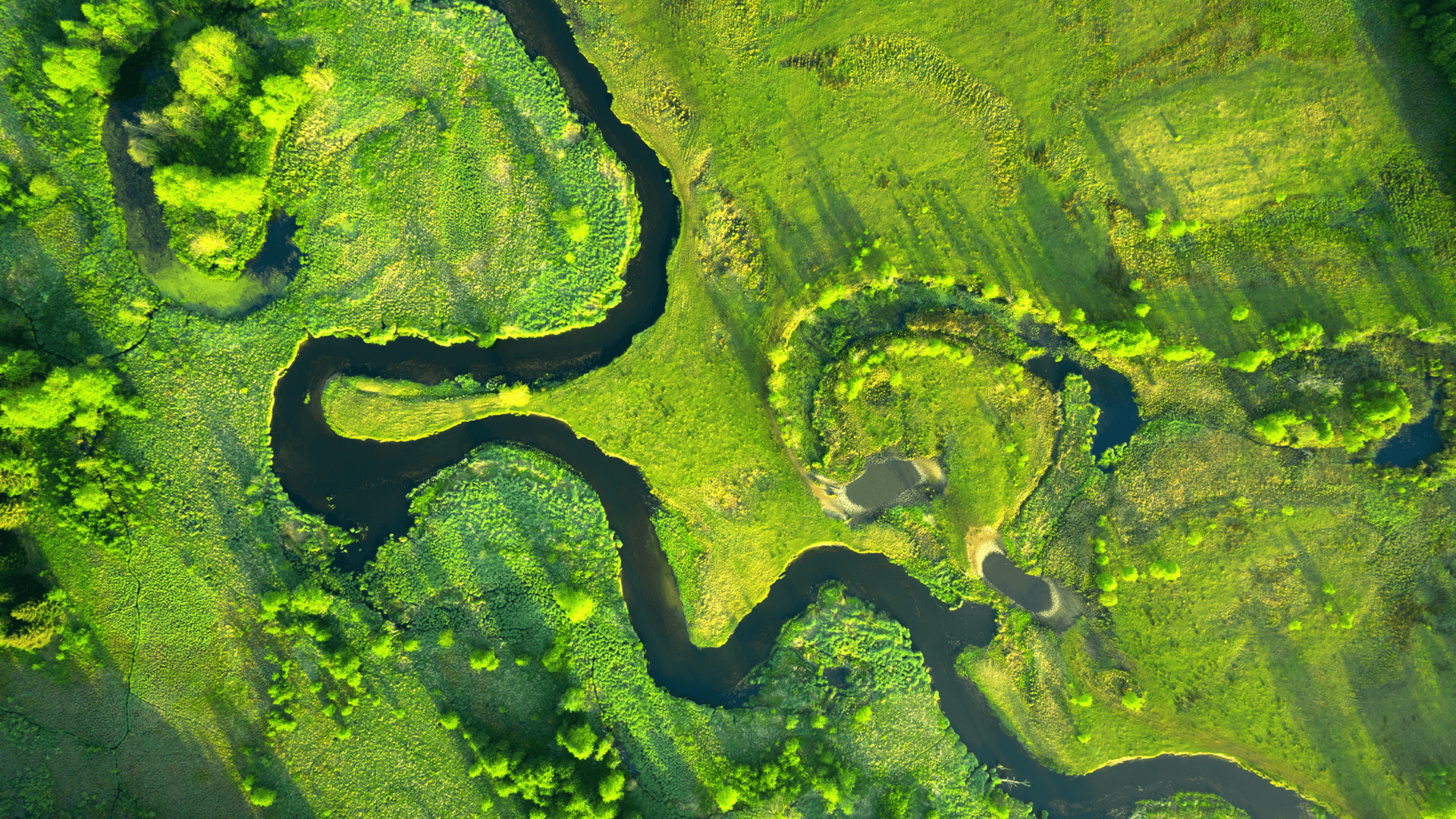 Yueming 'Lucy' Qiu | UMD School of Public Policy